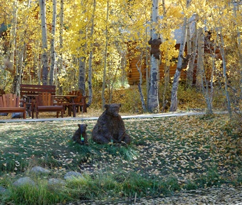 Cabins | Glamping.com